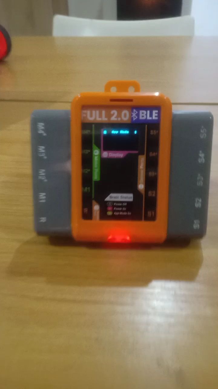 Blinking name display - Avishkaar Project